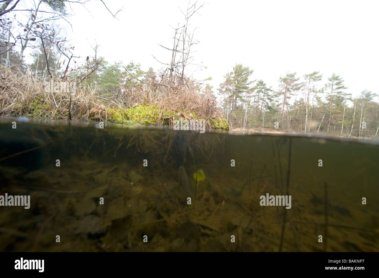 Split water view hi-res stock photography and images - Alamy