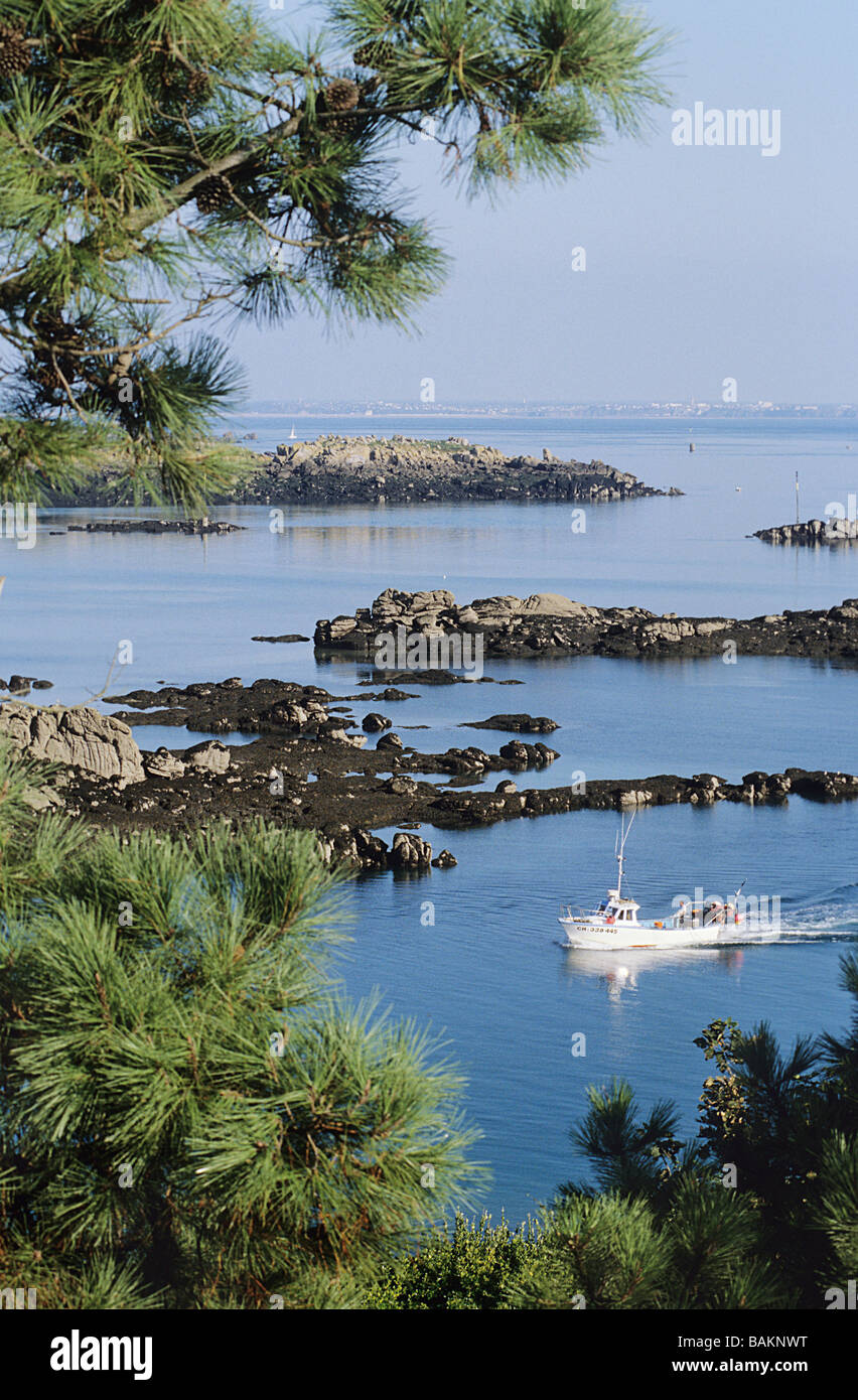 France, Manche, Iles Chausey, Grande Ile Stock Photo - Alamy