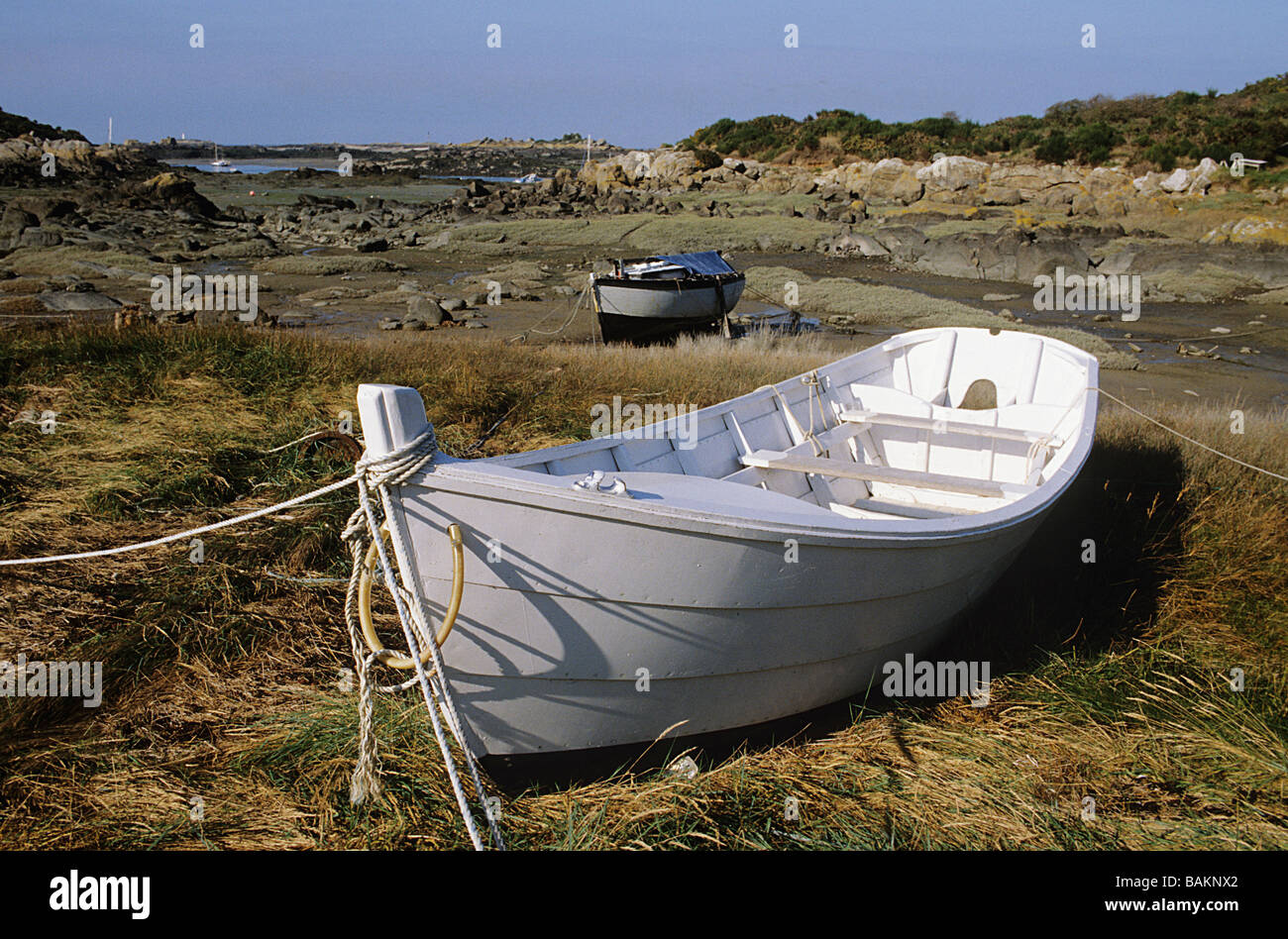 France, Manche, Iles Chausey, small boat Stock Photo - Alamy