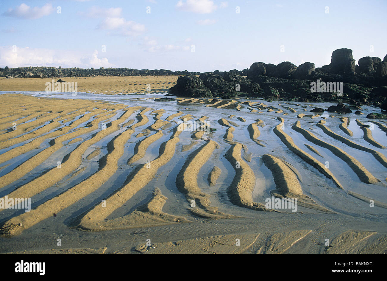 France, Manche, Iles Chausey, the shore Stock Photo - Alamy