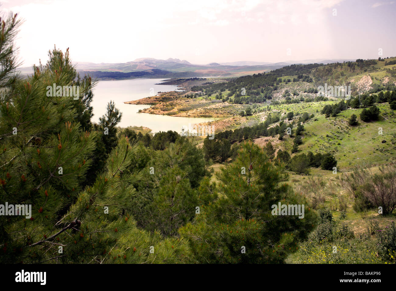 Embalse del guadalhorce guadalteba reservoir near ardales hi-res stock ...