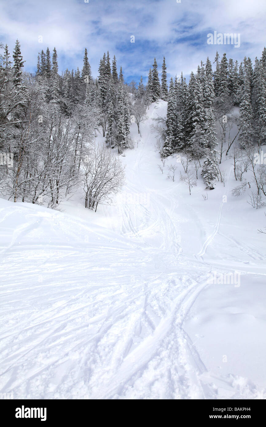 Slalom piste hi-res stock photography and images - Alamy
