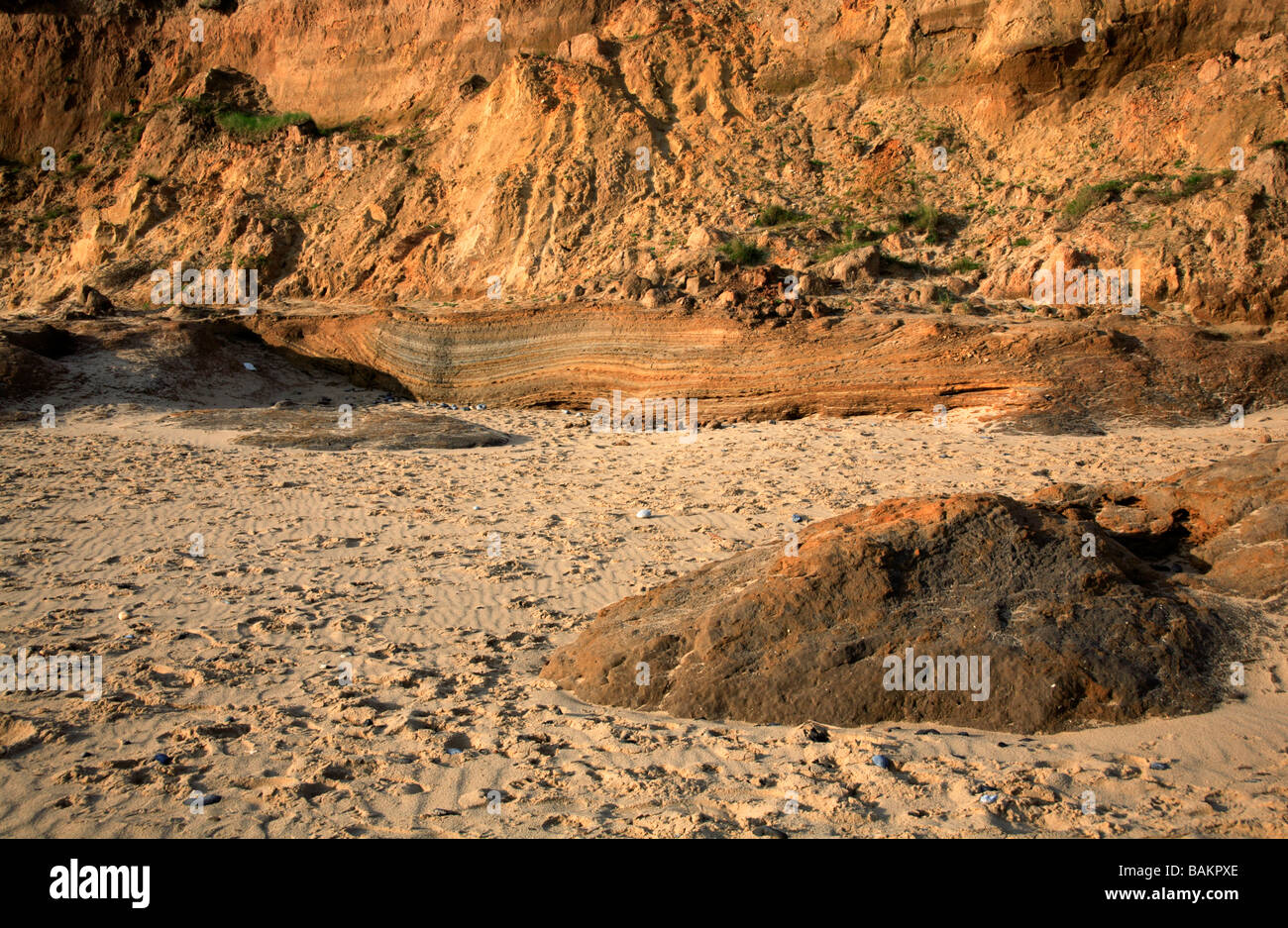 Base of eroding cliffs at Happisburgh, Norfolk, UK, showing exposed ...
