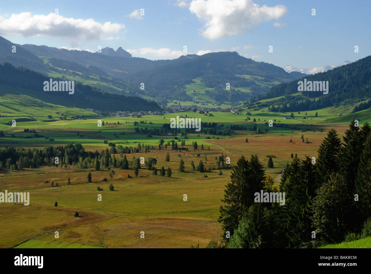 The mire landscape of Rothenthurm Stock Photo - Alamy