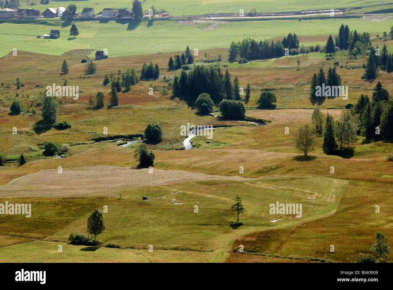 The mire landscape of Rothenthurm Stock Photo - Alamy