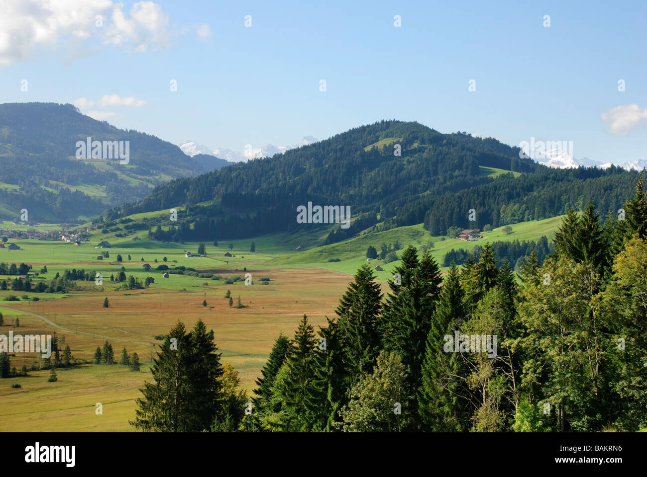 Rothenthurm hi-res stock photography and images - Alamy