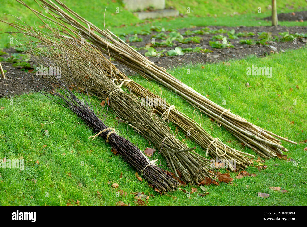 Willow Rods Stock Photos & Willow Rods Stock Images - Alamy
