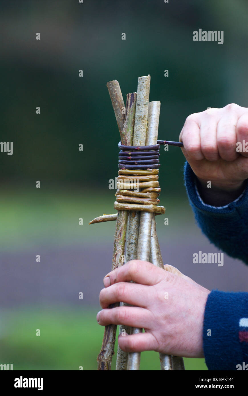 Framework Trellis High Resolution Stock Photography and Images - Alamy