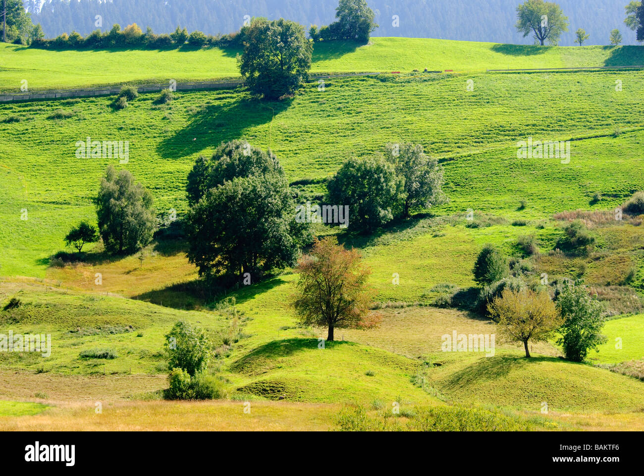 farmland mosaic with landscape features Stock Photo - Alamy