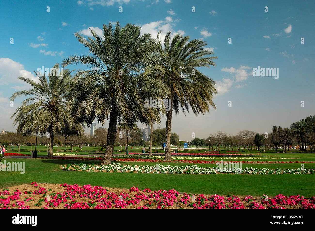Safa Park, Dubai Stock Photo - Alamy