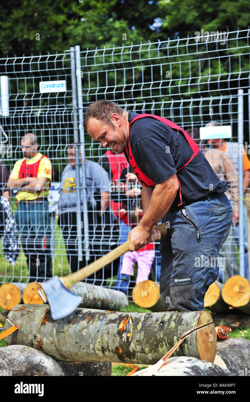 Woodcutter at work Stock Photo - Alamy