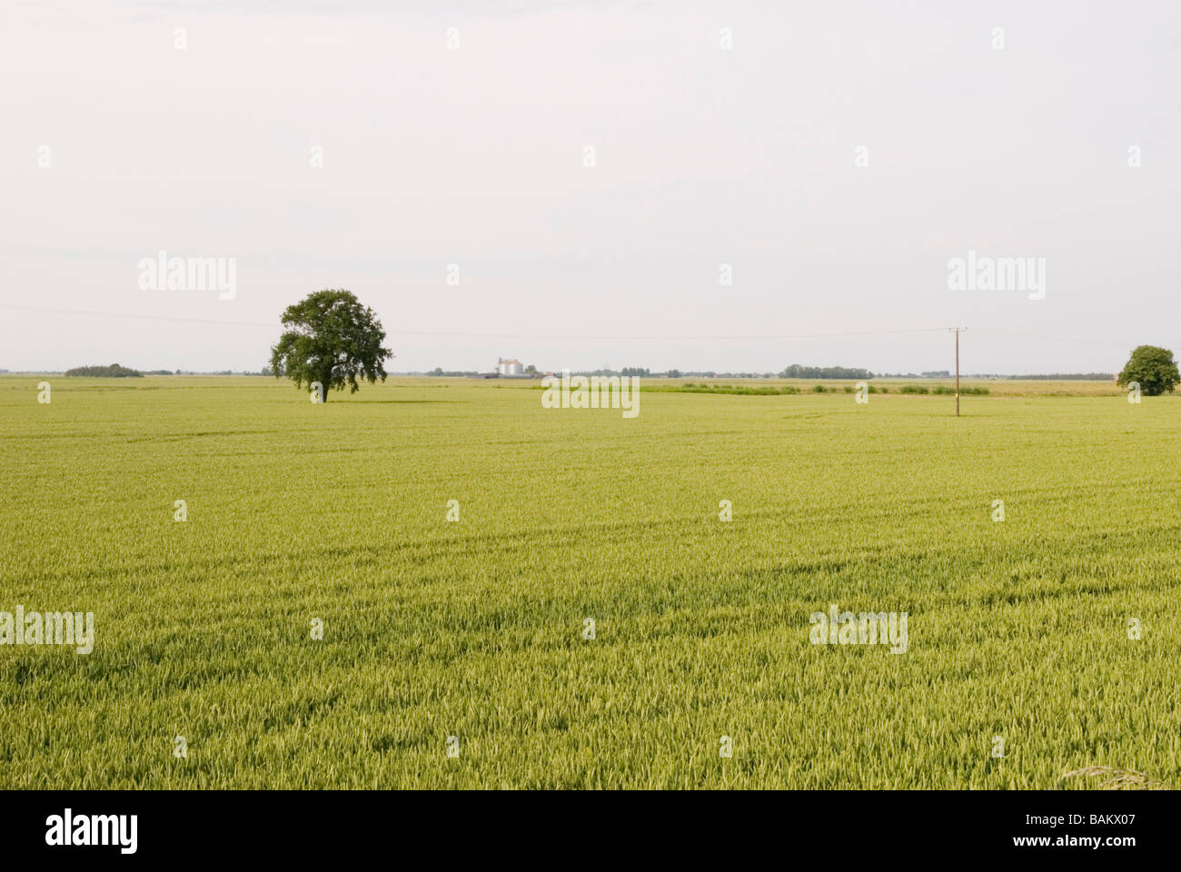 Rural fens hi-res stock photography and images - Alamy
