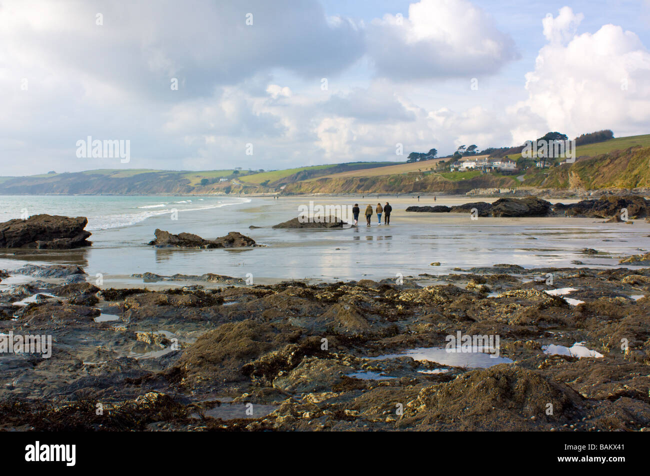 Carne Beach Roseland Peninsula Cornwall Stock Photo - Alamy