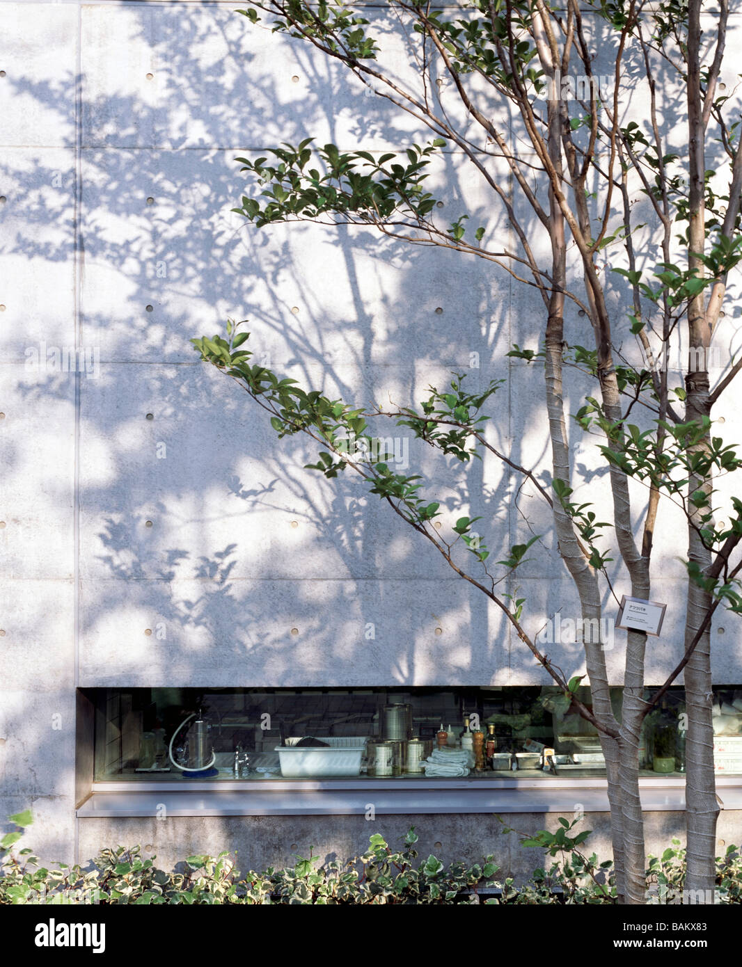 21 21 DESIGN SIGHT [DESIGN MUSEUM], TADAO ANDO, TOKYO, JAPAN Stock ...