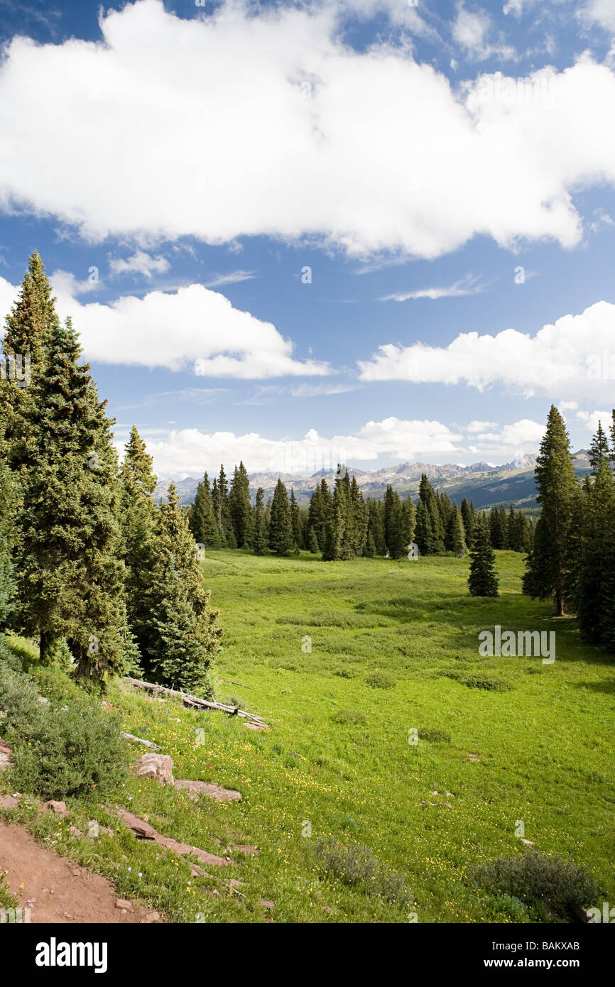 Shrine pass colorado Stock Photo - Alamy