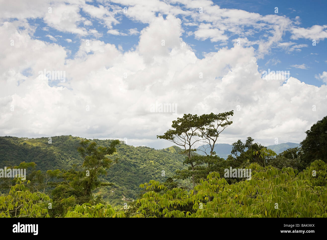Lush tropical landscape hi-res stock photography and images - Alamy