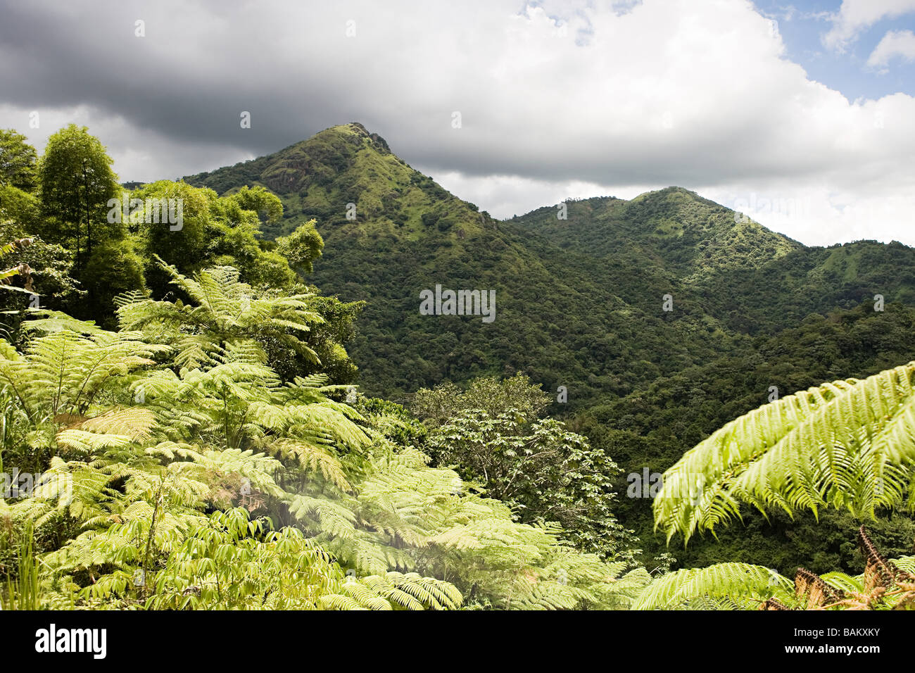 Luscious landscape hi-res stock photography and images - Alamy