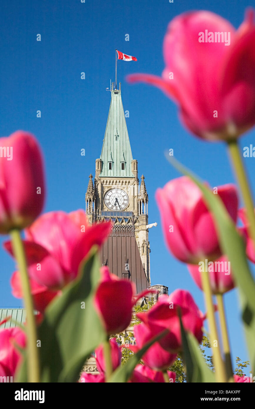 Peace tower clock with the canadian flag hi-res stock photography and ...