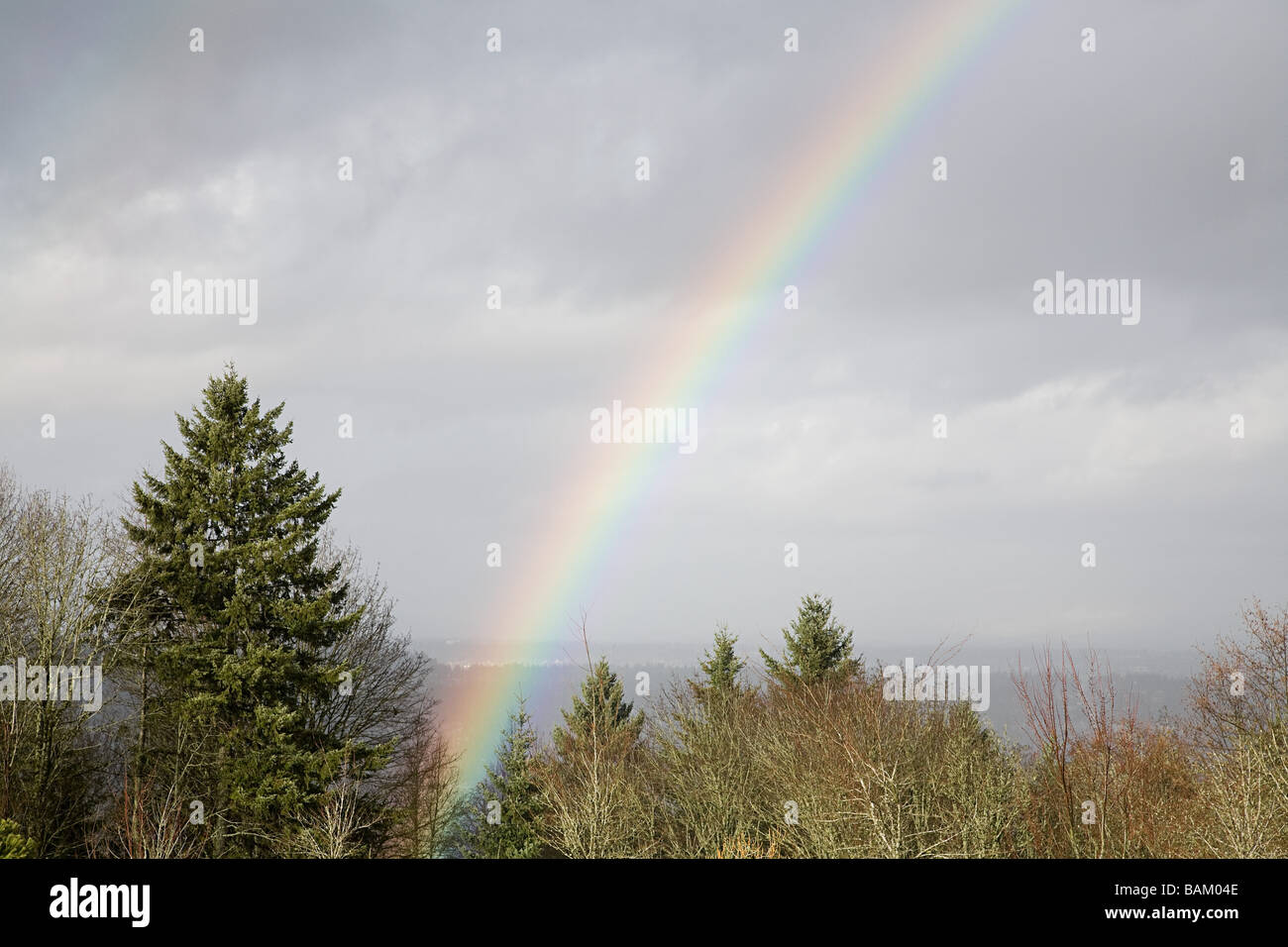Rainbow over a forest Stock Photo - Alamy