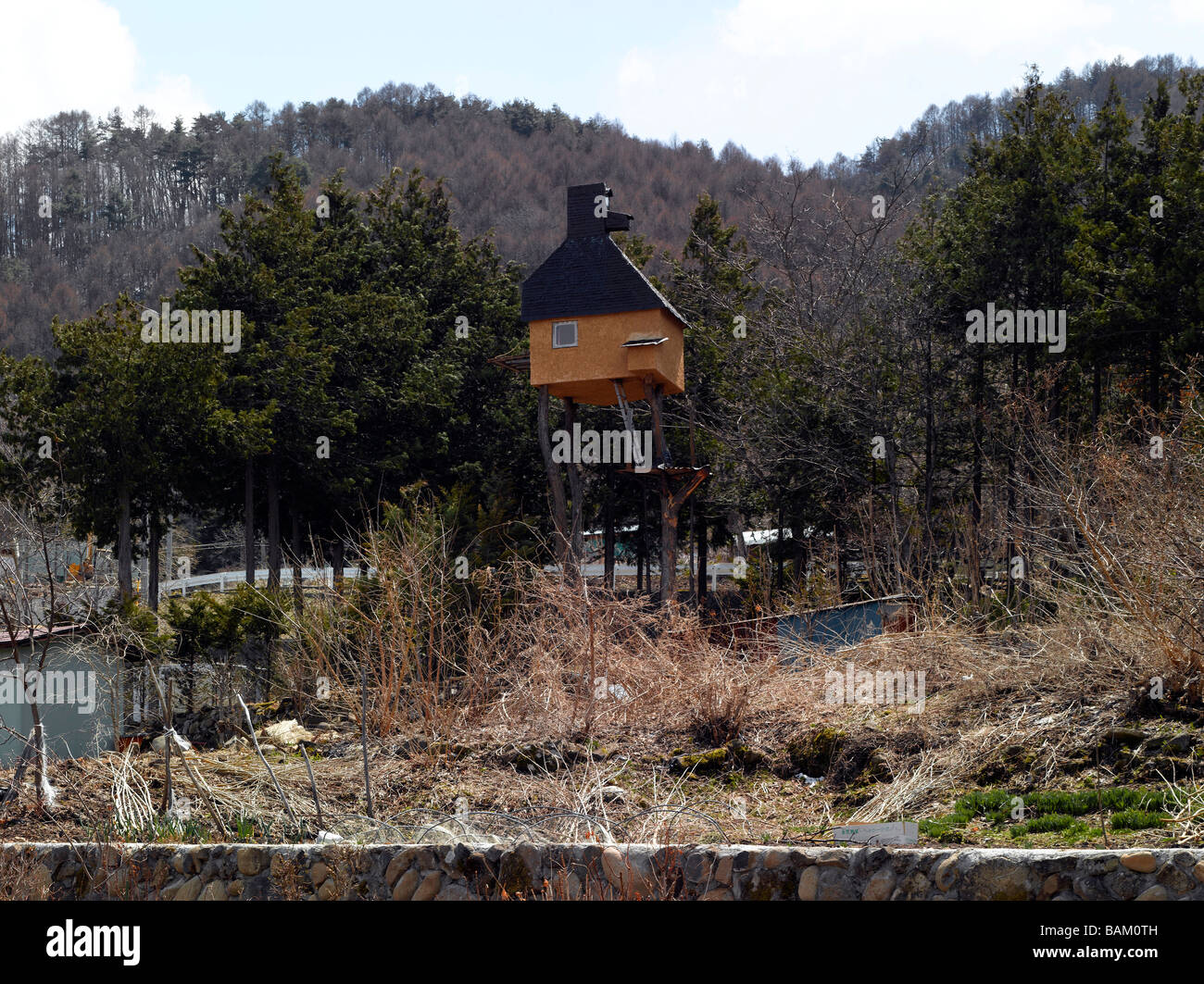 TREE TEA HOUSE, TERUNOBU FUJIMORI, NAGANO, JAPAN Stock Photo - Alamy
