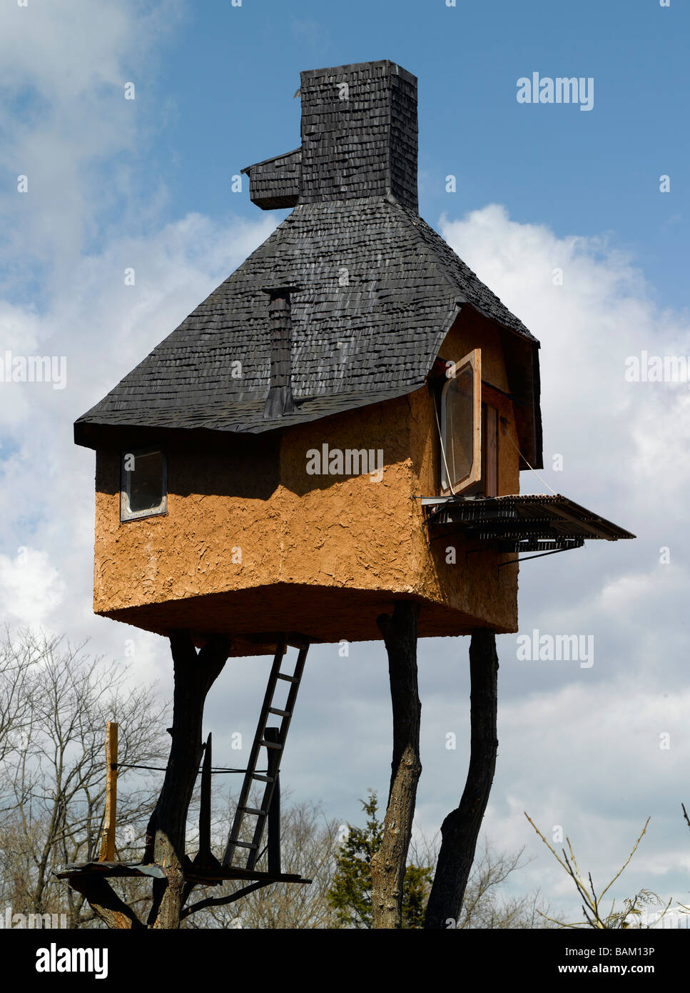TREE TEA HOUSE, TERUNOBU FUJIMORI, NAGANO, JAPAN Stock Photo - Alamy