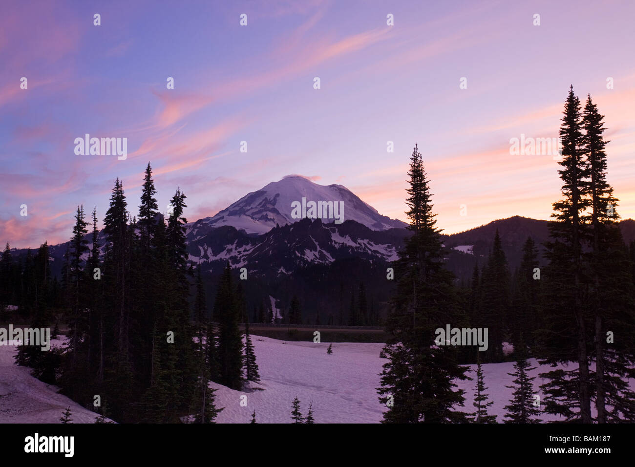 Rainier High Resolution Stock Photography and Images - Alamy