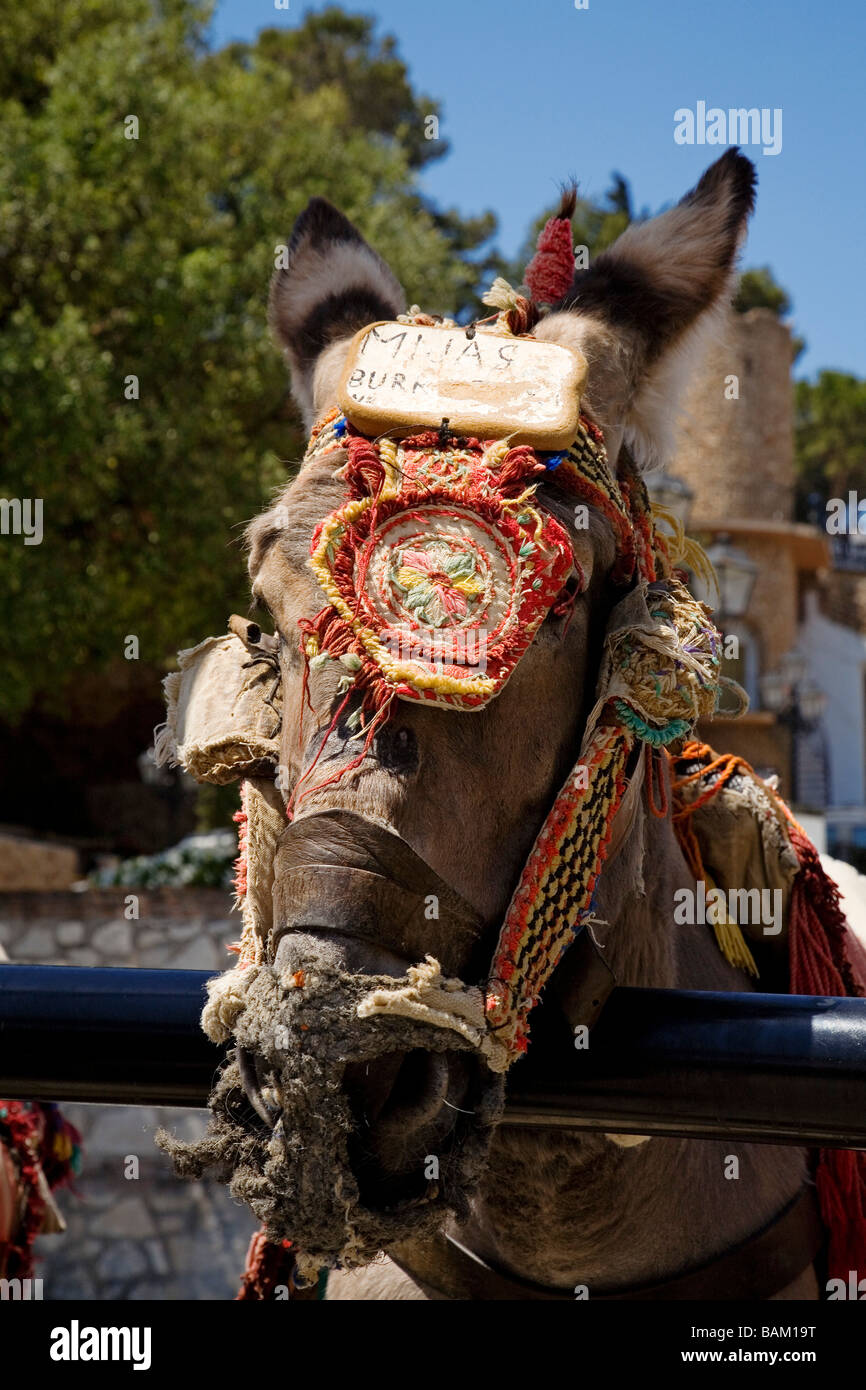 Typical Burro Taxi in the White Village of Mijas Malaga Sun Coast ...