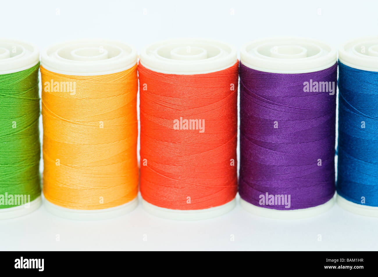 Cotton in a row Stock Photo - Alamy