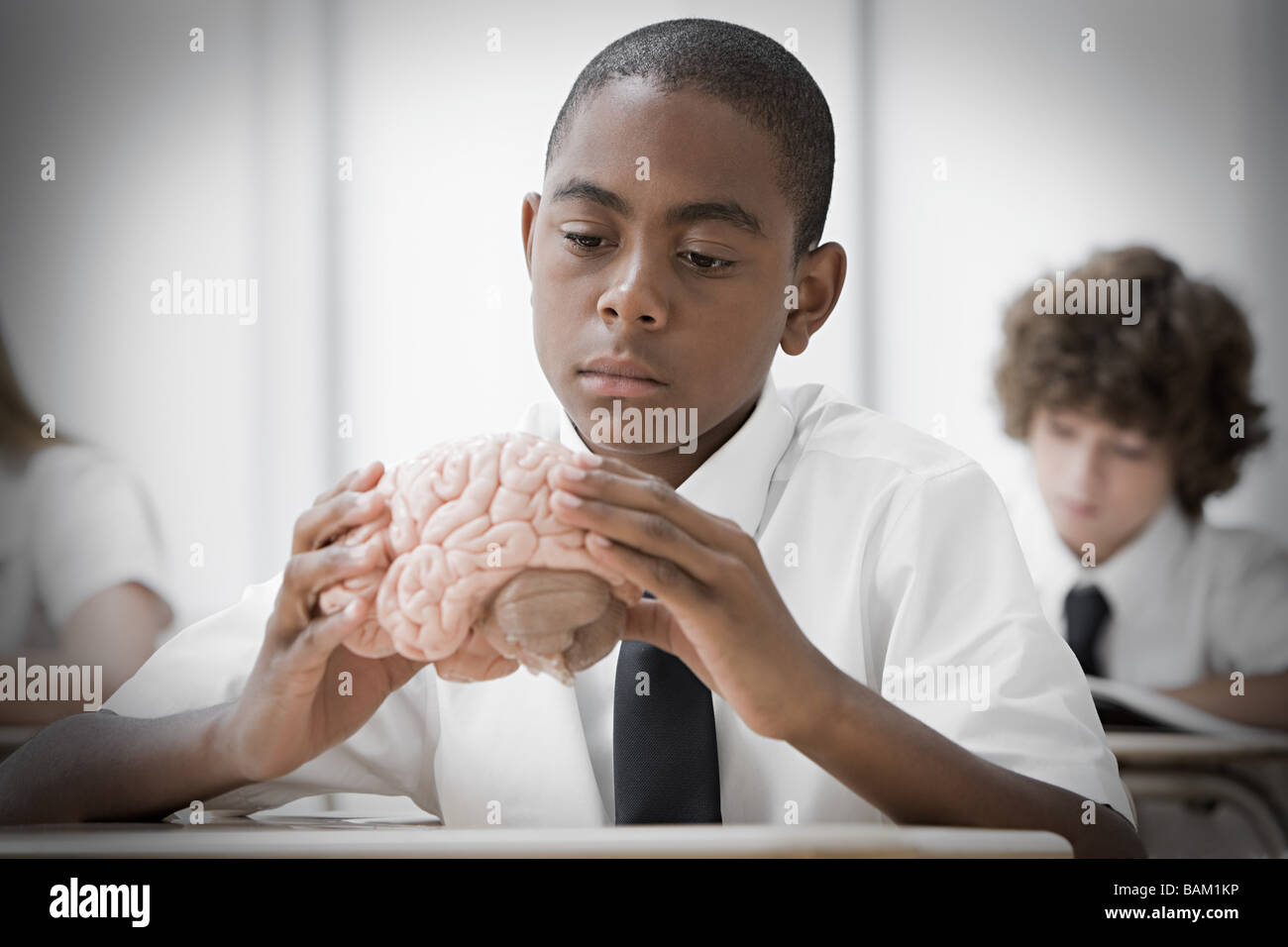 Boy with model of brain Stock Photo - Alamy