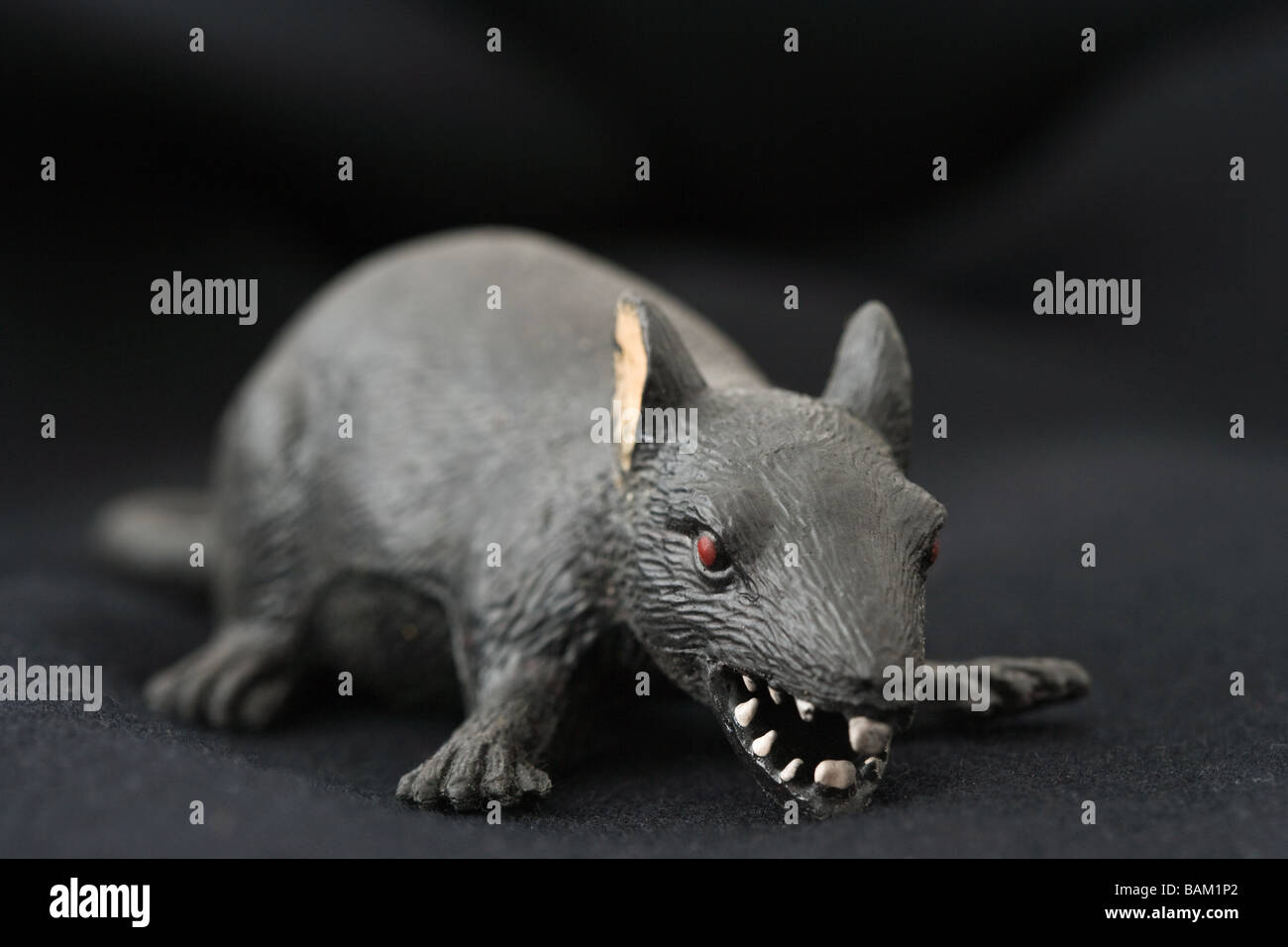 Vinyl Toy High Resolution Stock Photography and Images - Alamy