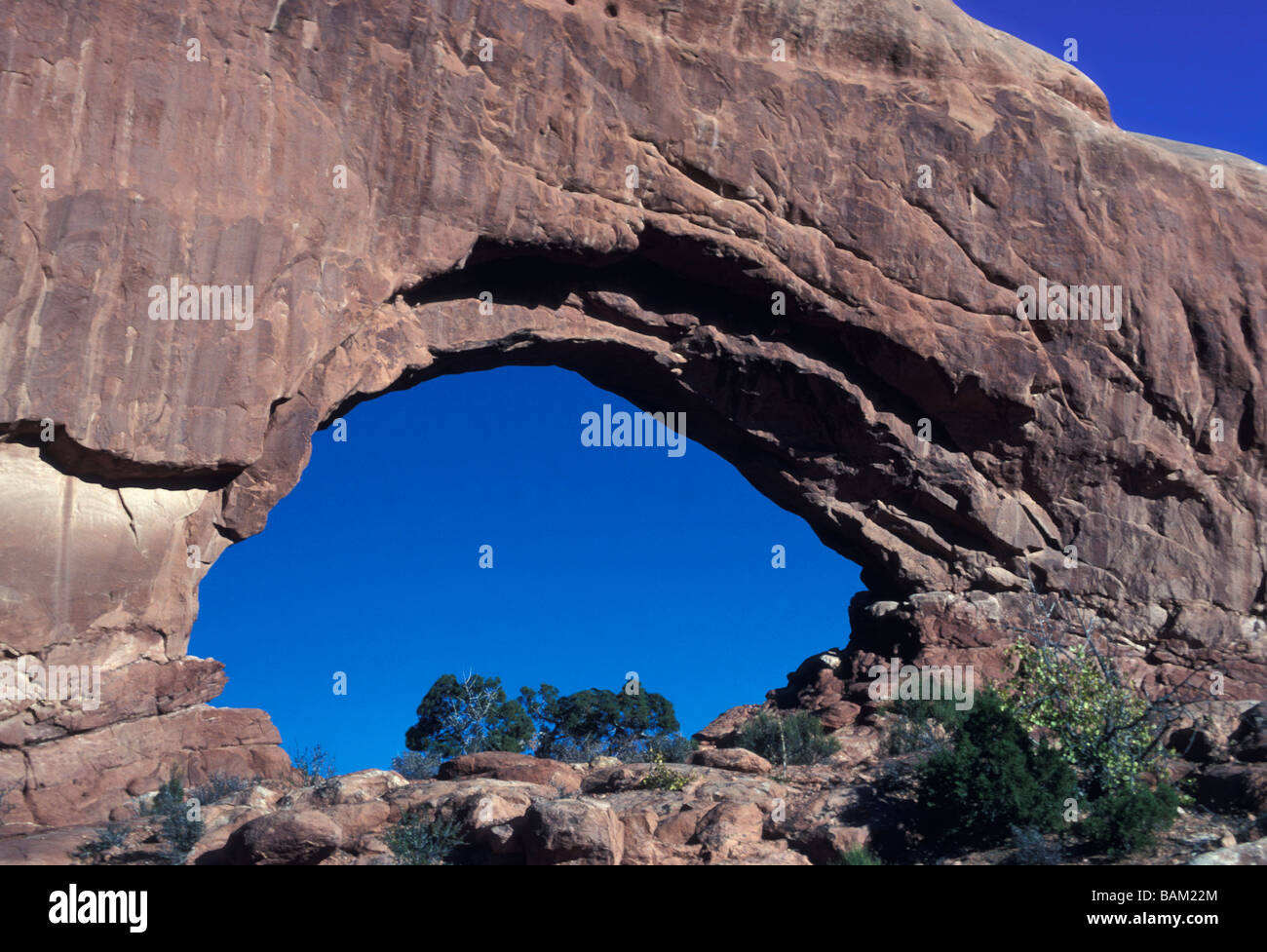Windows section in arches hi-res stock photography and images - Alamy