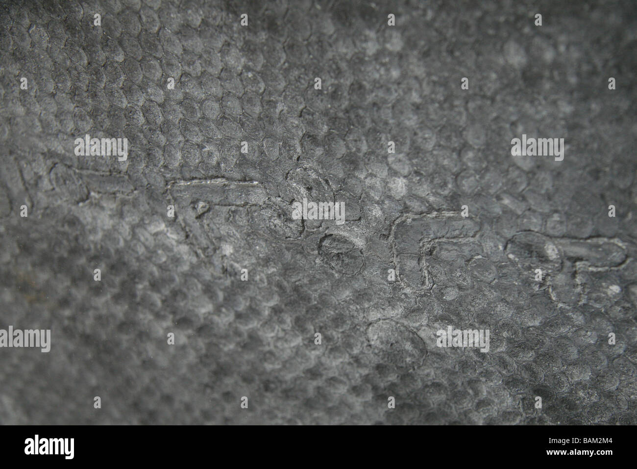 Apollo 11 Heat Shield