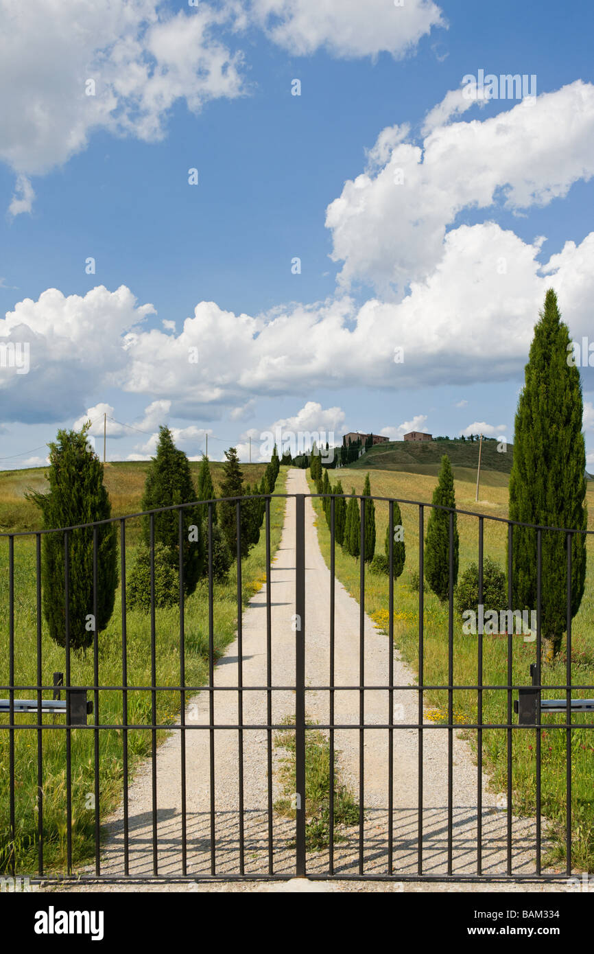 Gate and cypress trees in siena Stock Photo - Alamy