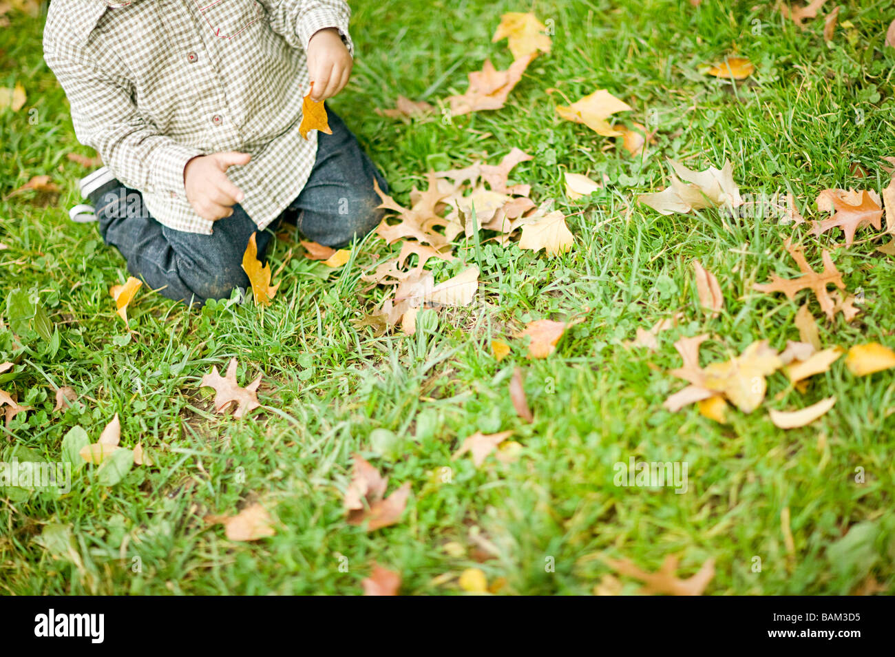 Child with leaves Stock Photo - Alamy