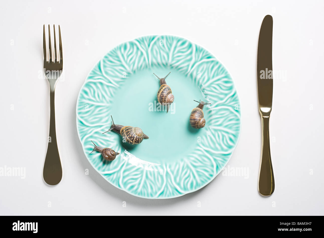 Four snails on a plate Stock Photo - Alamy