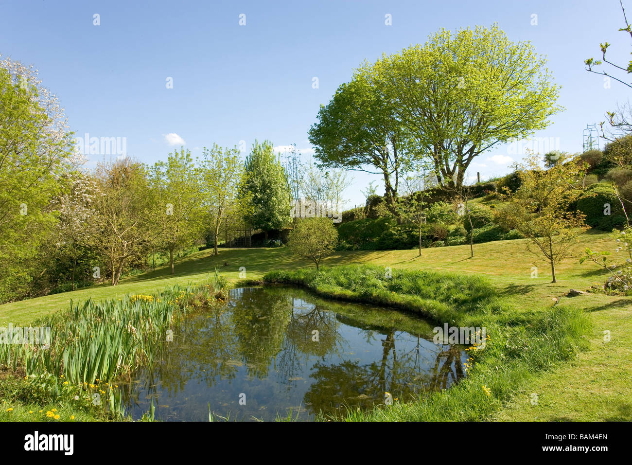 UK. A garden pond Stock Photo - Alamy