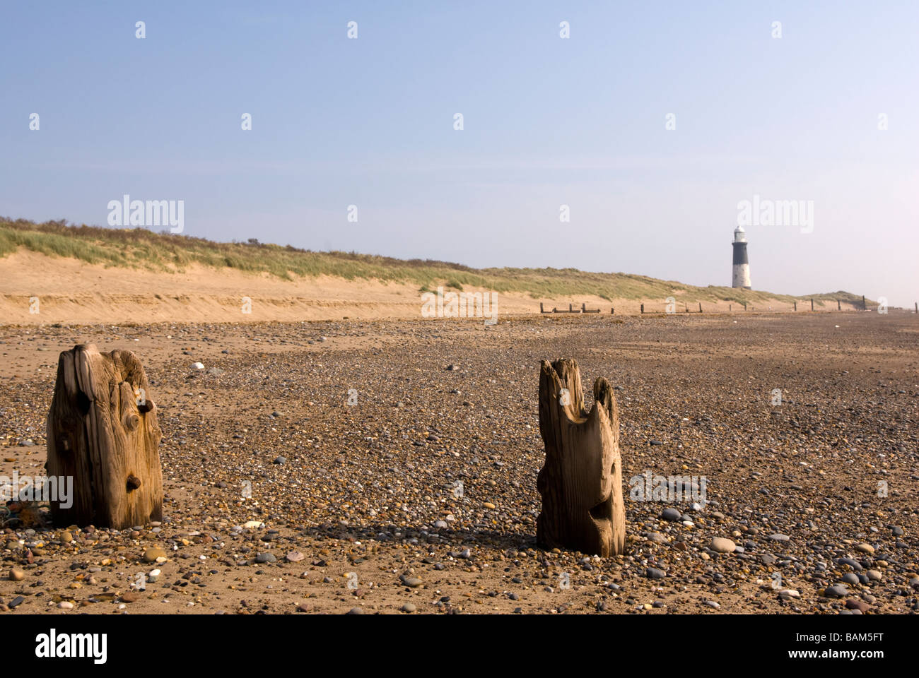 Beach groynes at Spurn Point East Yorkshire England Stock Photo - Alamy