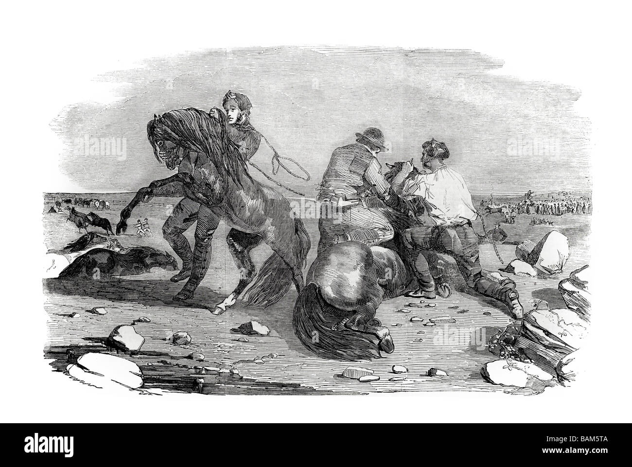 Tan rims hi-res stock photography and images - Alamy