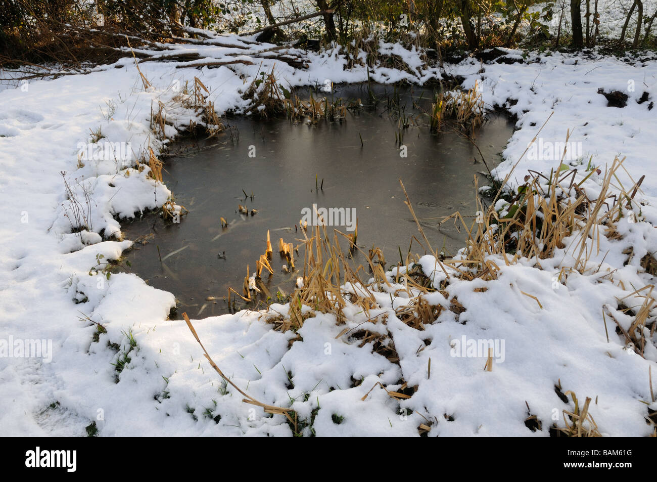 Garden pond winter hi-res stock photography and images - Alamy