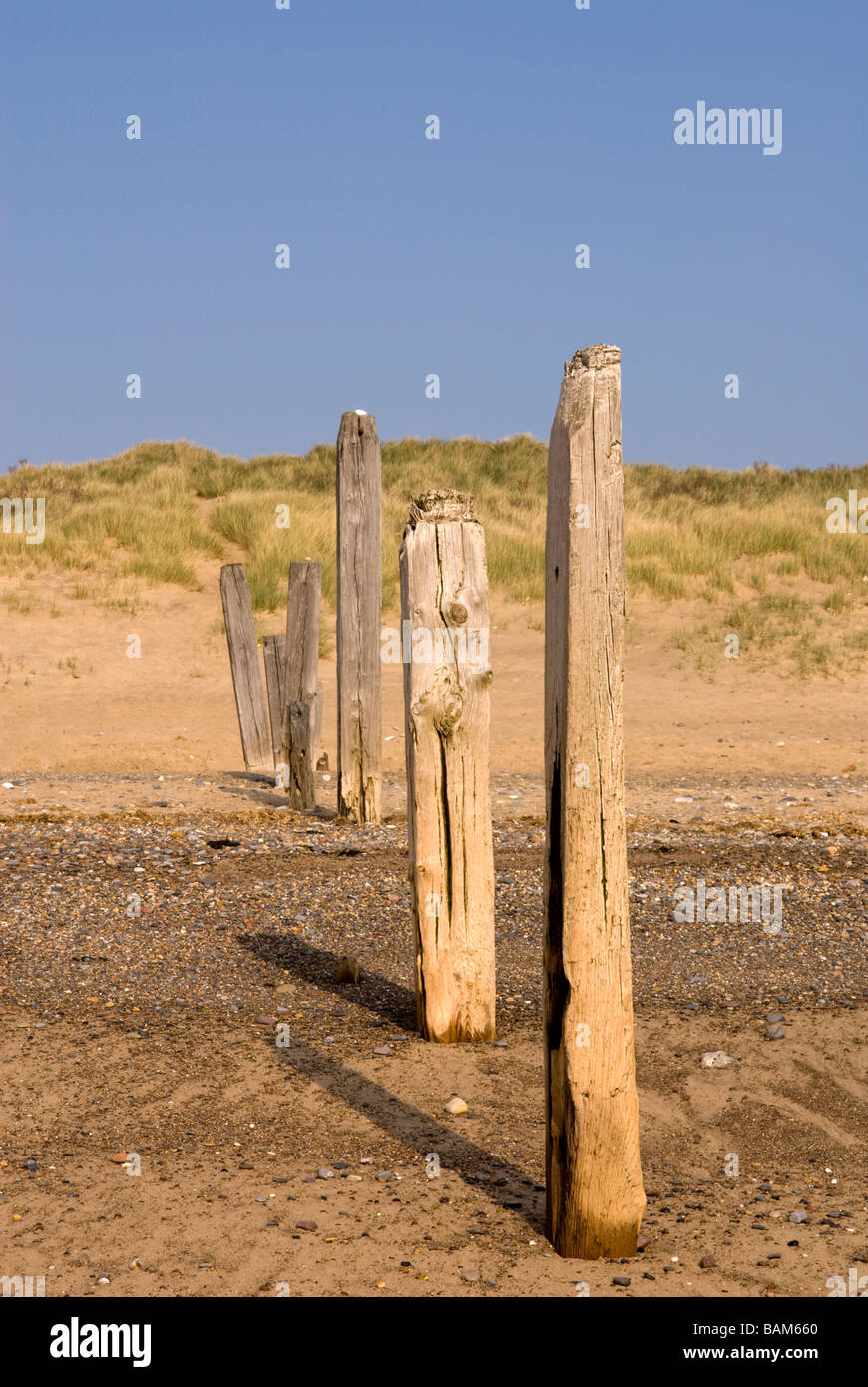 Beach groynes at Spurn Point East Yorkshire England Stock Photo - Alamy