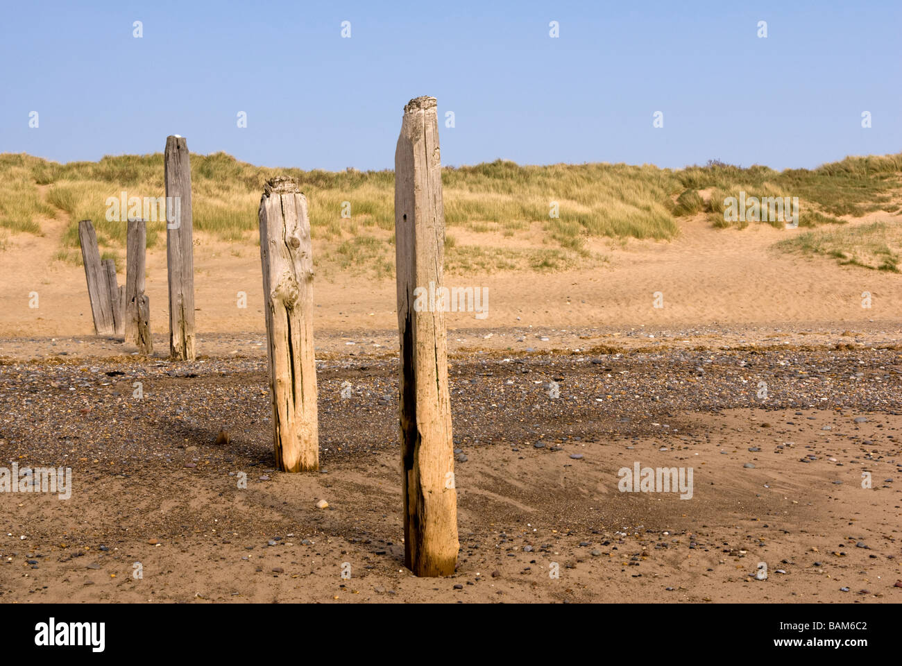 Beach groynes at Spurn Point East Yorkshire England Stock Photo - Alamy