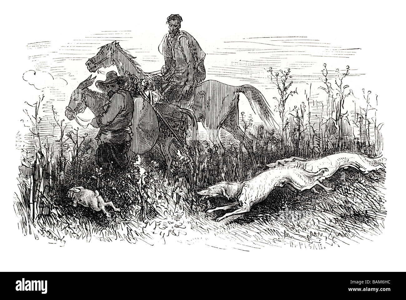 Don quixote spanish novel alonso hi-res stock photography and images ...