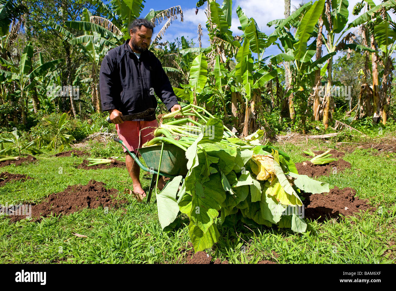French Polynesia, Austral Islands, Rurutu island, culture of the local ...