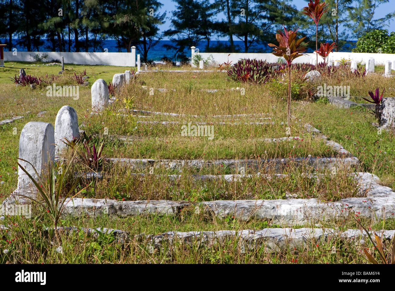 French Polynesia, Austral Islands, Rurutu island, the cemetery Stock ...