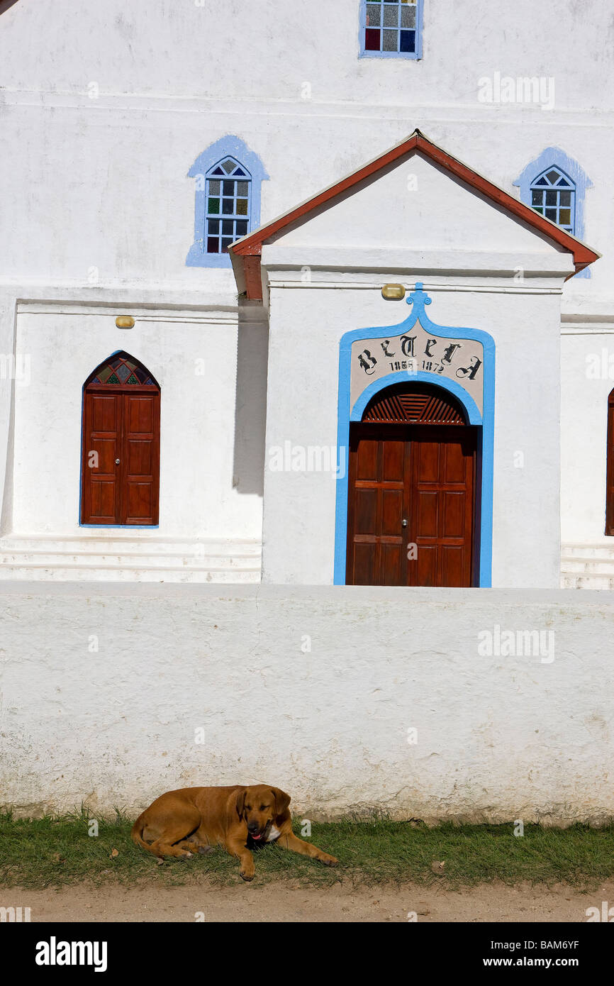 Moerai hi-res stock photography and images - Alamy