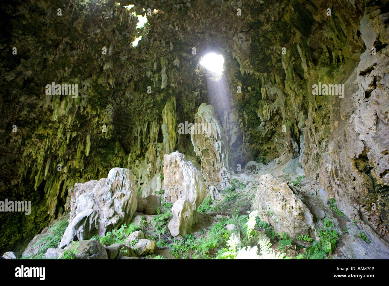 French Polynesia, Austral Islands, Rurutu island, cave Stock Photo - Alamy