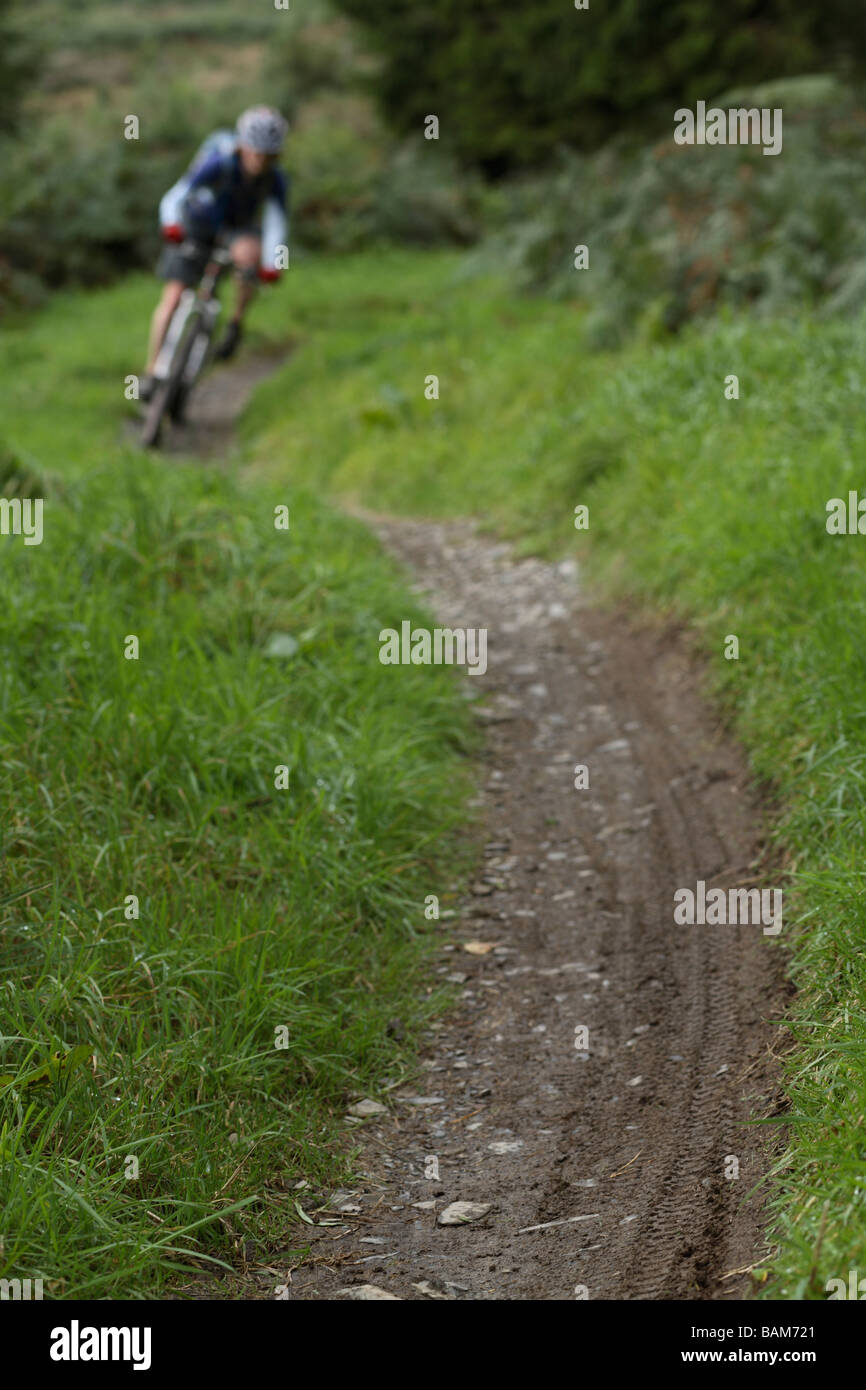 Mountain Biker Tracks in Muddy Trail Stock Photo - Alamy