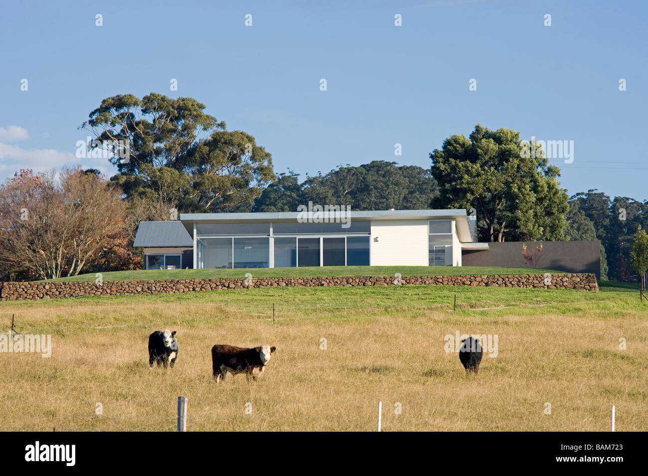 KANGALOON HOUSE, TOM ISAKSSON ARCHITECT, KANGALOON, AUSTRALIA Stock ...
