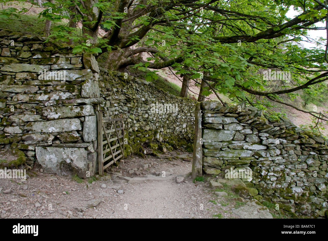 Path through gate between walls near Rydal Water, Lake District ...