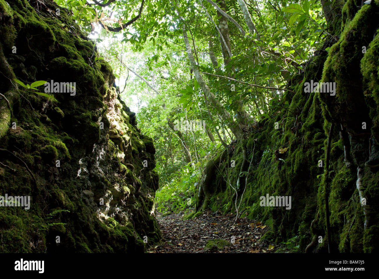 Japanese trench hi-res stock photography and images - Alamy